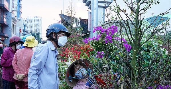 Visit the Spring Flower Market 'On the dock under the boat' opening day ...