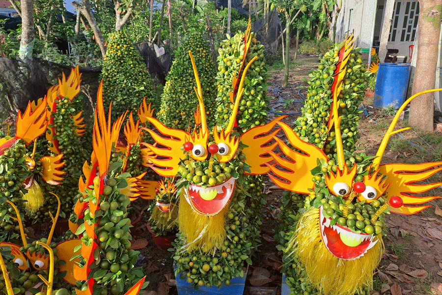 Độc đáo cặp kiểng rồng dáng uốn lượn dài 6 mét làm toàn tắc kiểng | Báo ...