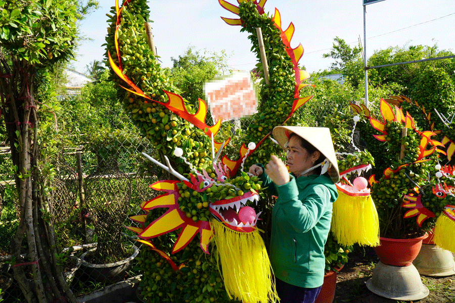 Độc đáo cặp kiểng rồng dáng uốn lượn dài 6 mét làm toàn tắc kiểng | Báo ...