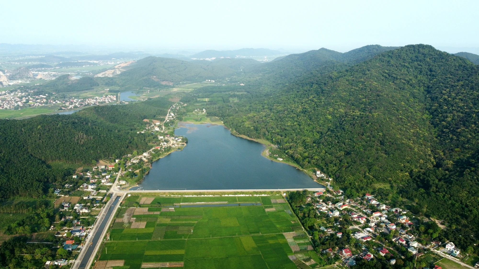 Cận cảnh rừng sến lớn nhất Đông Nam Á ở Thanh Hóa | Báo Pháp Luật TP ...